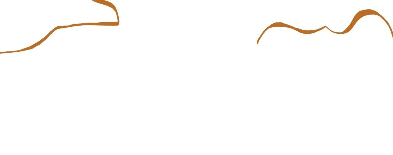 Virtual Book Talks — AAHA