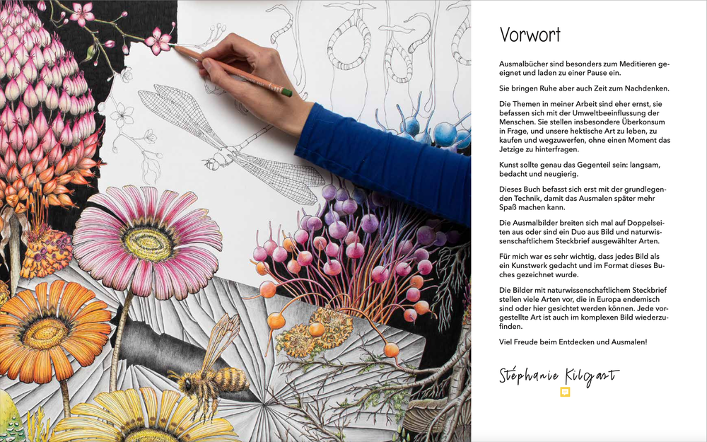 Original Artworks, Sculptures and Paintings — Stephanie Kilgast ...