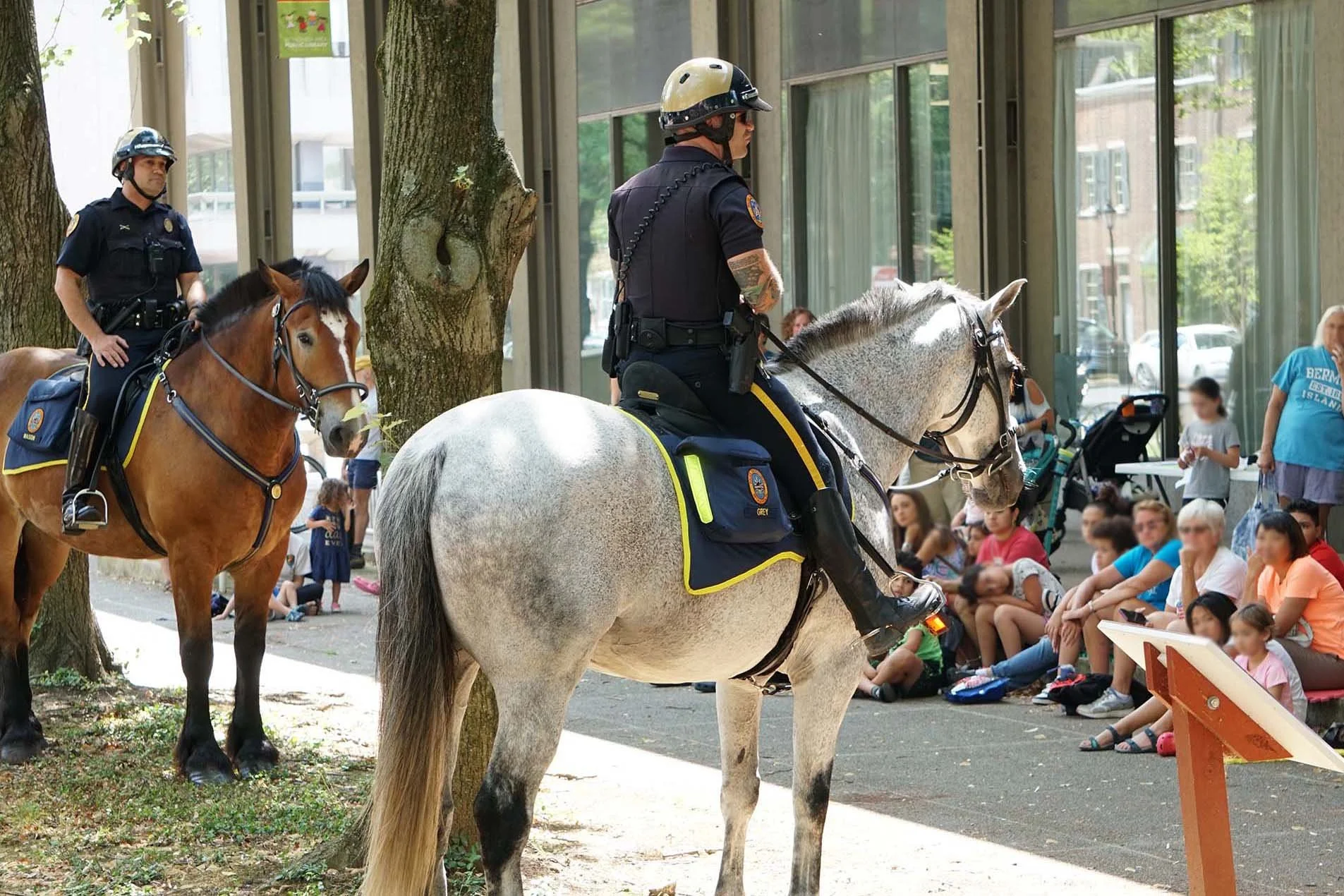 General 1 — Bethlehem Mounted Police