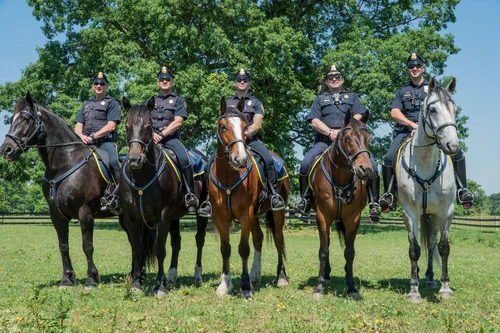 Officers — Bethlehem Mounted Police