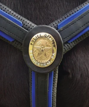 Bethlehem Mounted PoliceBethlehem Mounted Police