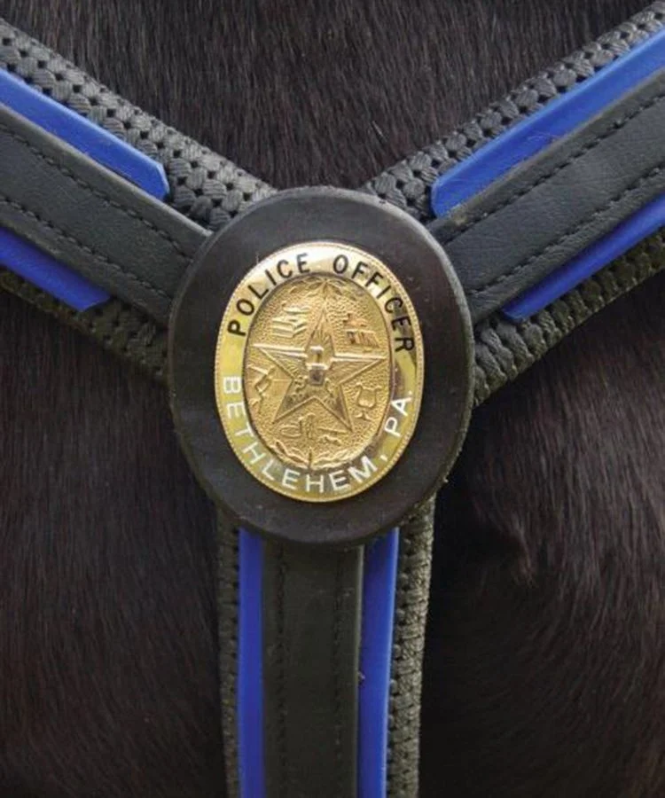 Bethlehem Mounted PoliceBethlehem Mounted Police