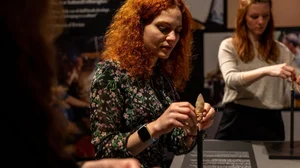 University Museum of Bergen - Early Human Behaviour — Studio Louter