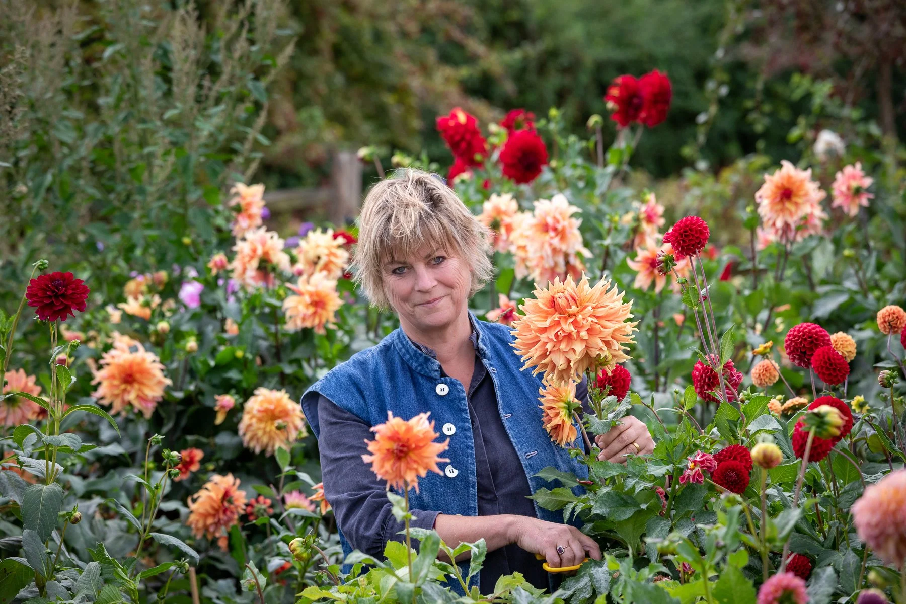 Meet the Maker: Sarah Raven returns to Thyme — Thyme