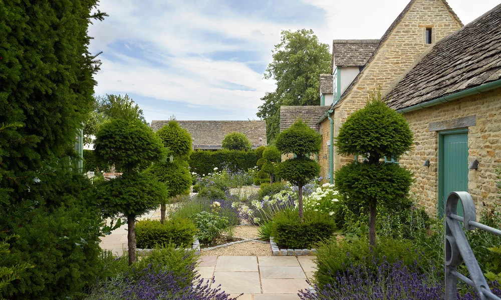 Meadow Cottage Treatments — Thyme