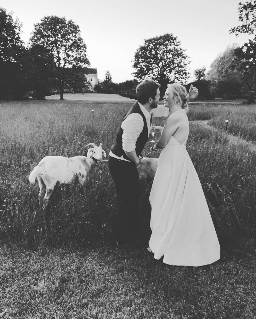 Family Tree — Thyme