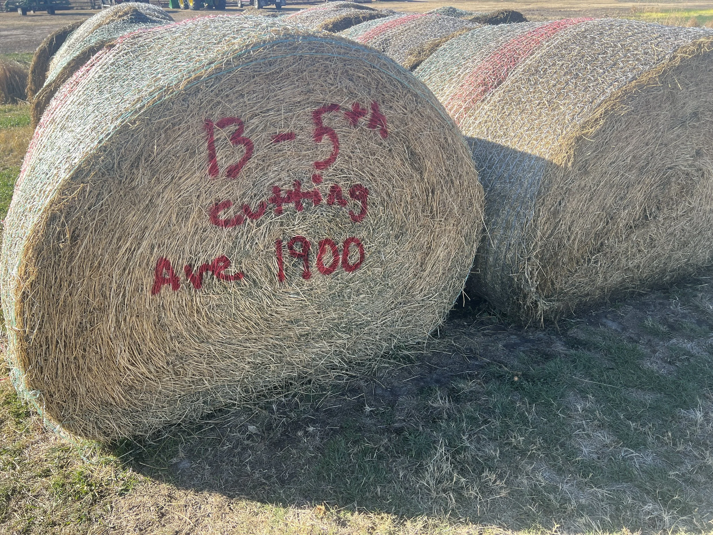 Auction 5 — Brott Auction Service