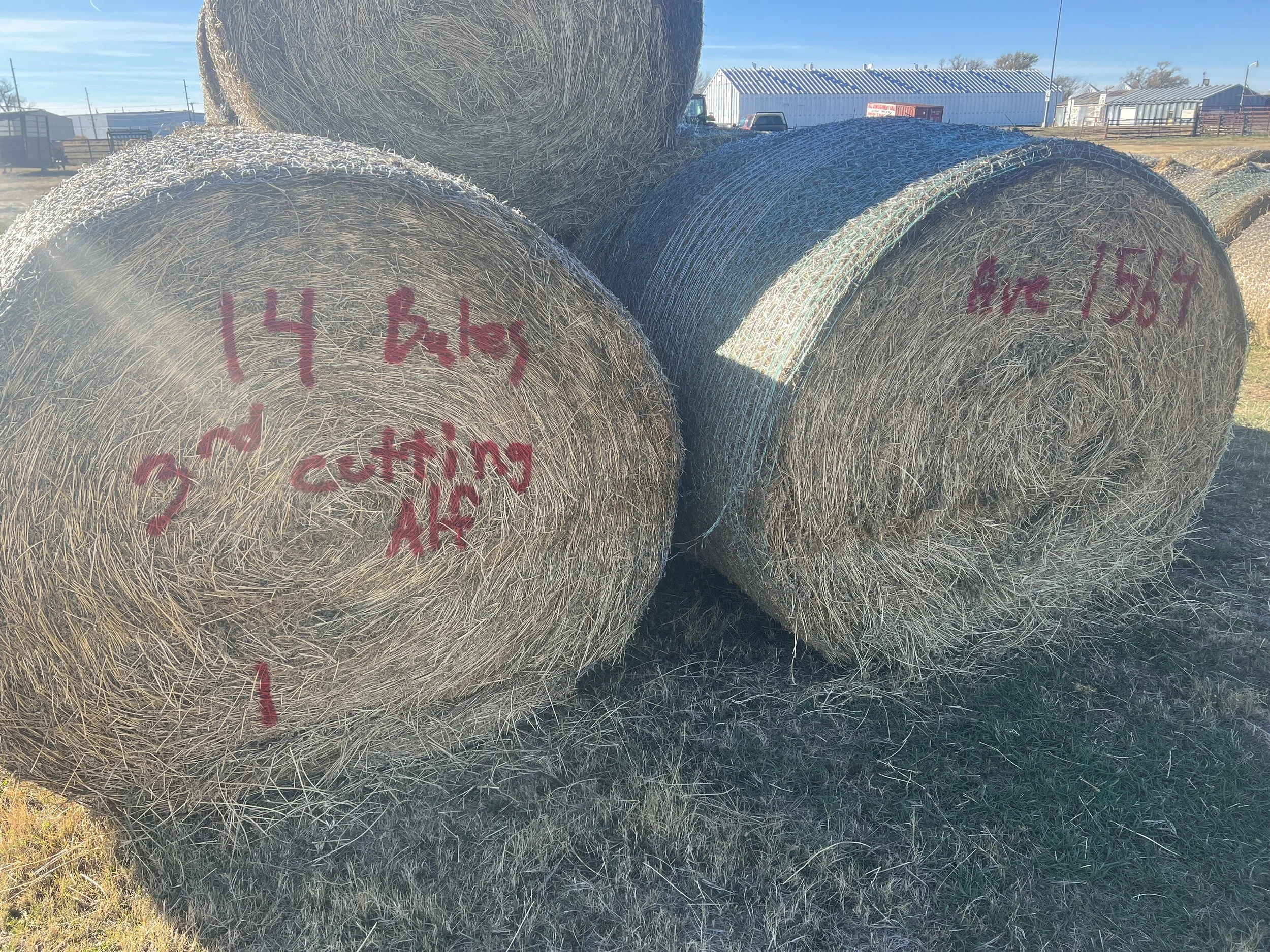 Auction 5 — Brott Auction Service