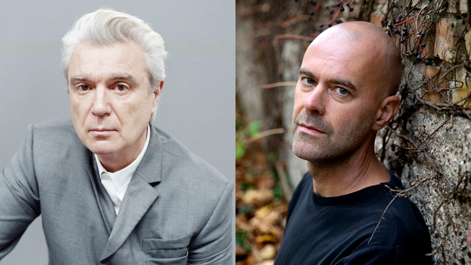 David Byrne Talks Eels with Patrik Svensson — Sing for Science