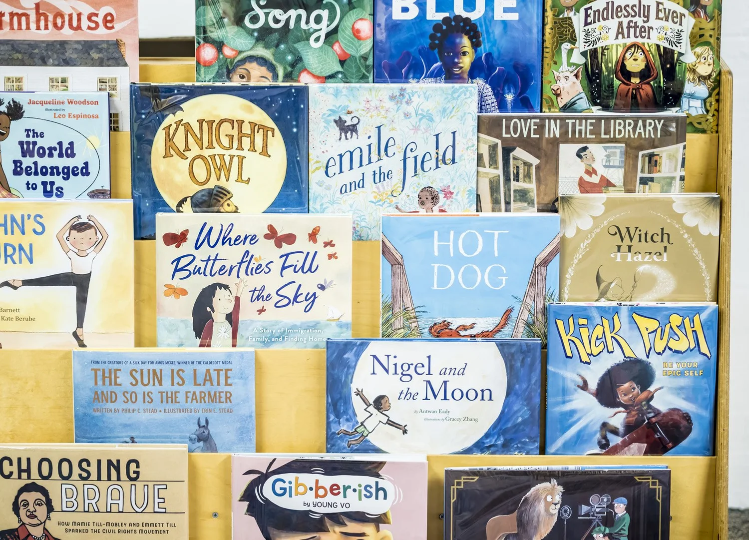 Literacy at Advent — The Advent School