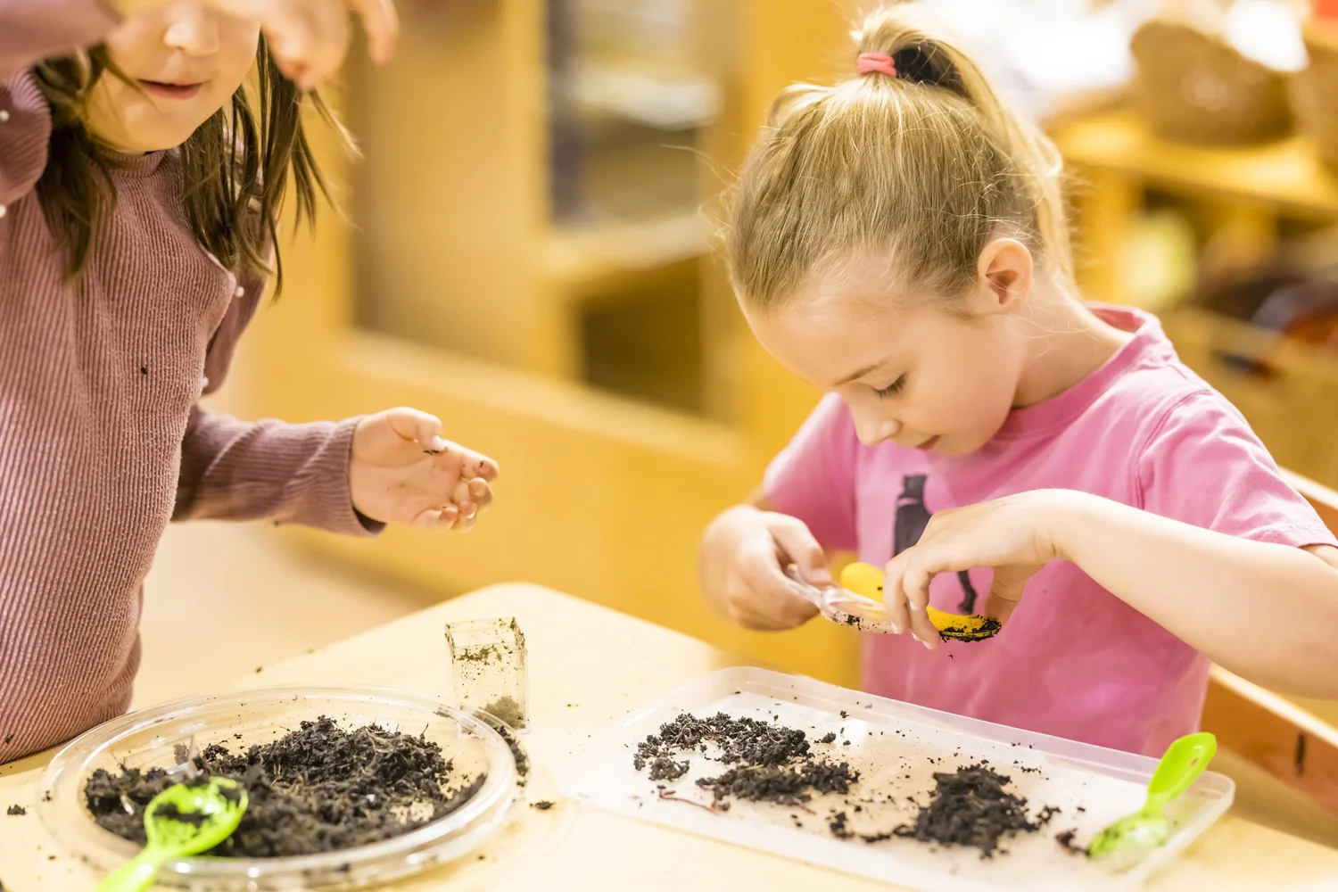 Enrichment - Advent School Summer Program — The Advent School