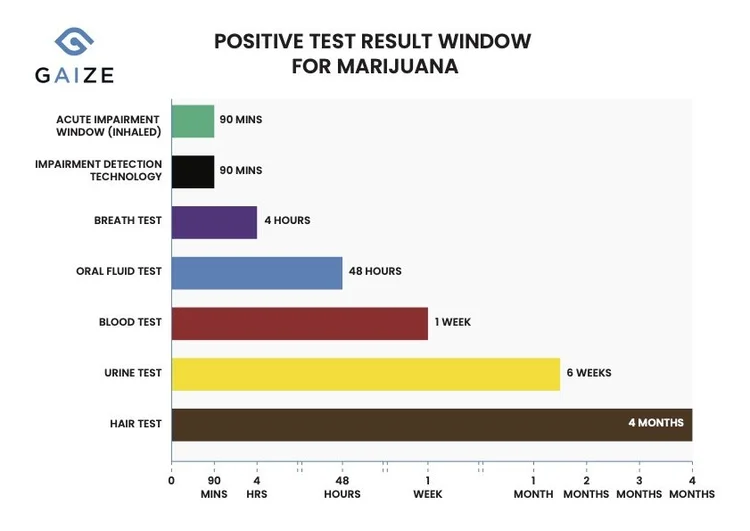 How long can you test positive for marijuana on a drug test? — Gaize