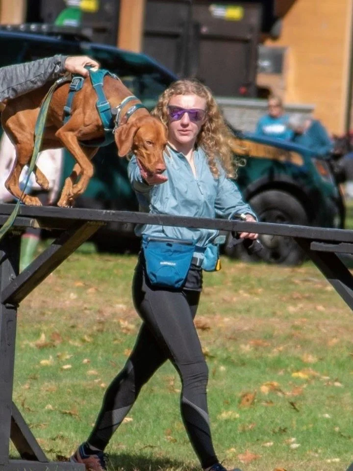 Team 1 — Alternative Veterinary Therapies