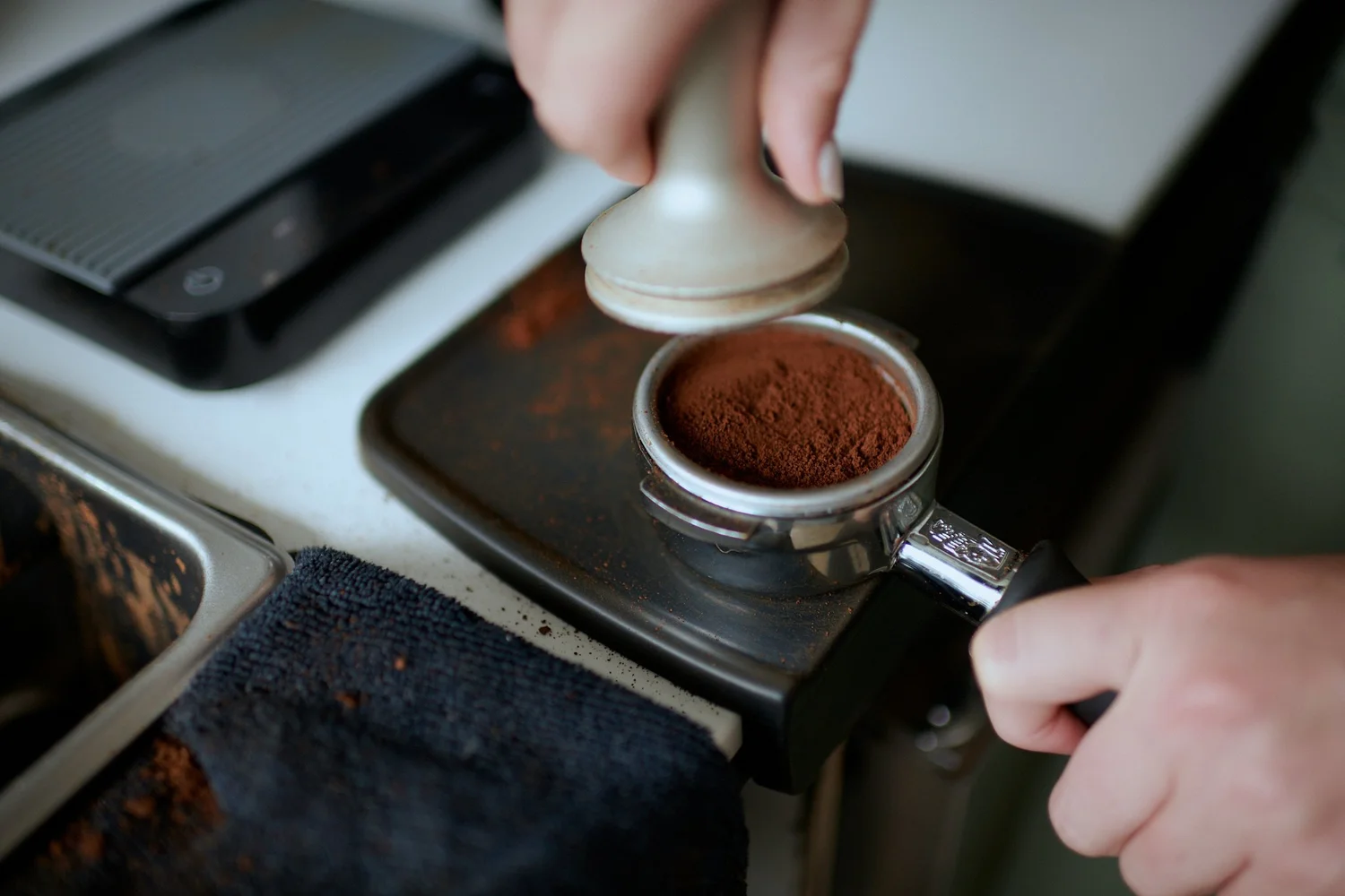 Coffee Shop & Flower Shop