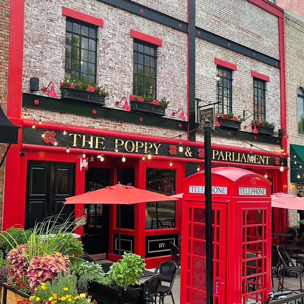 About Us — The Poppy and Parliament