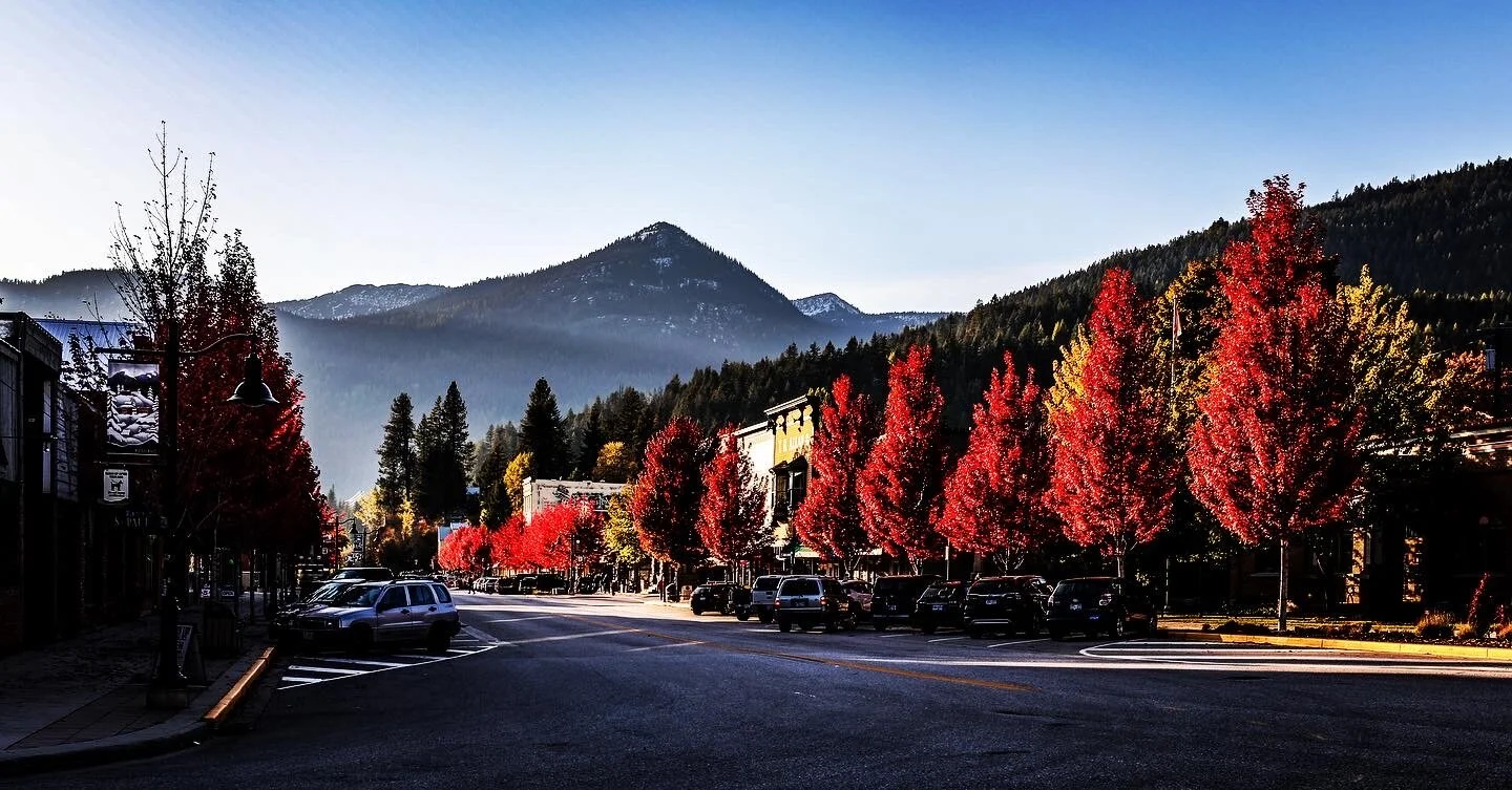 Rossland's Luxury Accommodation - The Wild Turkey Inn