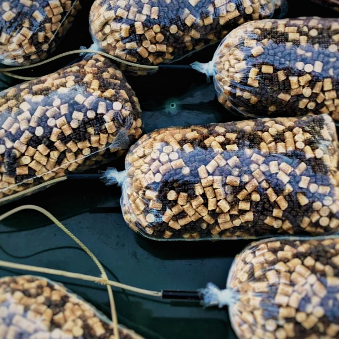 Eazee bags - Easy to use bait bags — Godman Angling