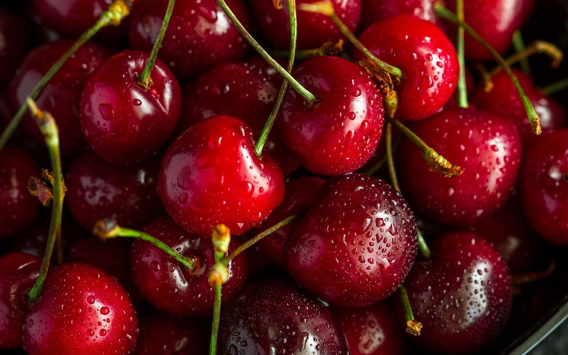 Our Instructors — Cherry Avenue Farms