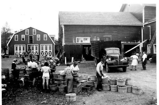 About — Cherry Avenue Farms