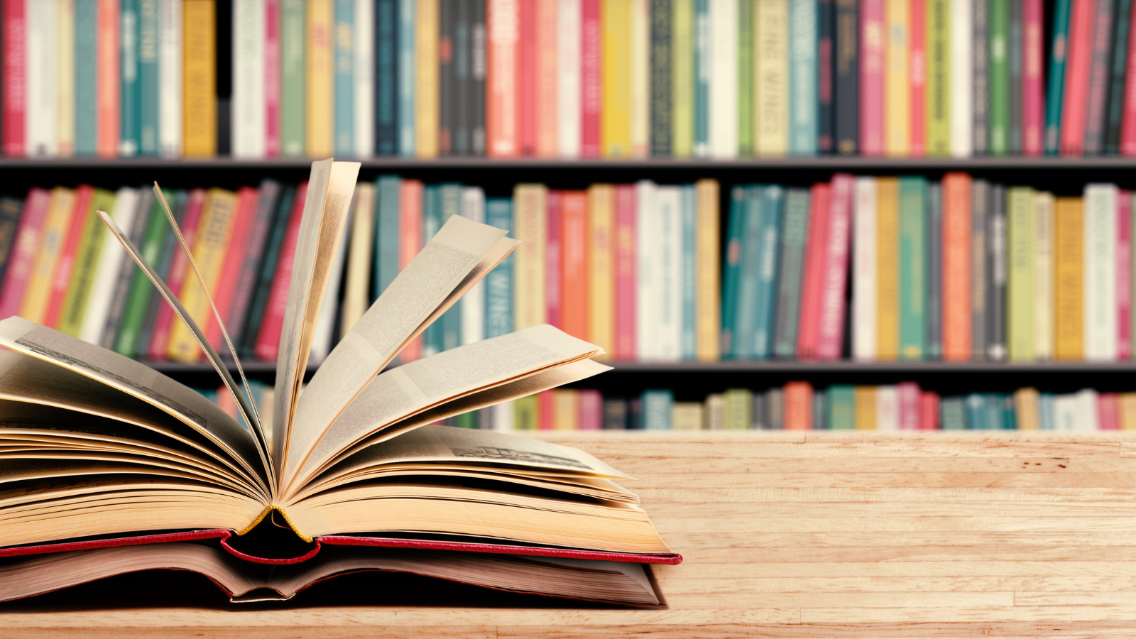 Anne L. Haynes-Majied Literary Lounge — Dr. Kamilah Majied