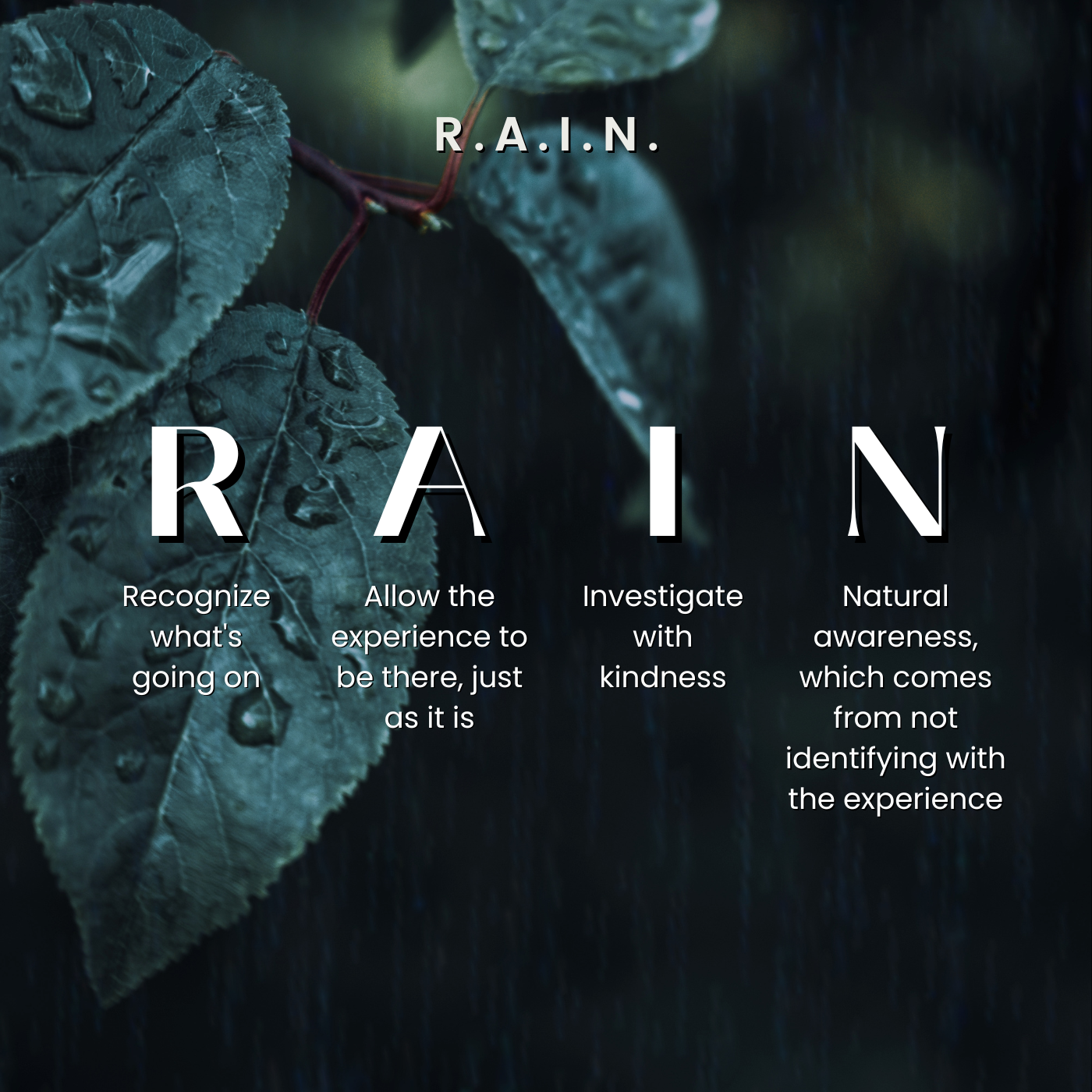 Step Four and DBT Skills: The Path of Self-Understanding and Emotional ...