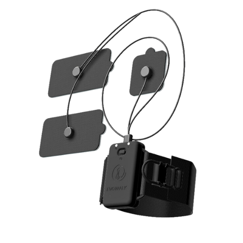 EvoWalk for Clinicians — Evolution Devices