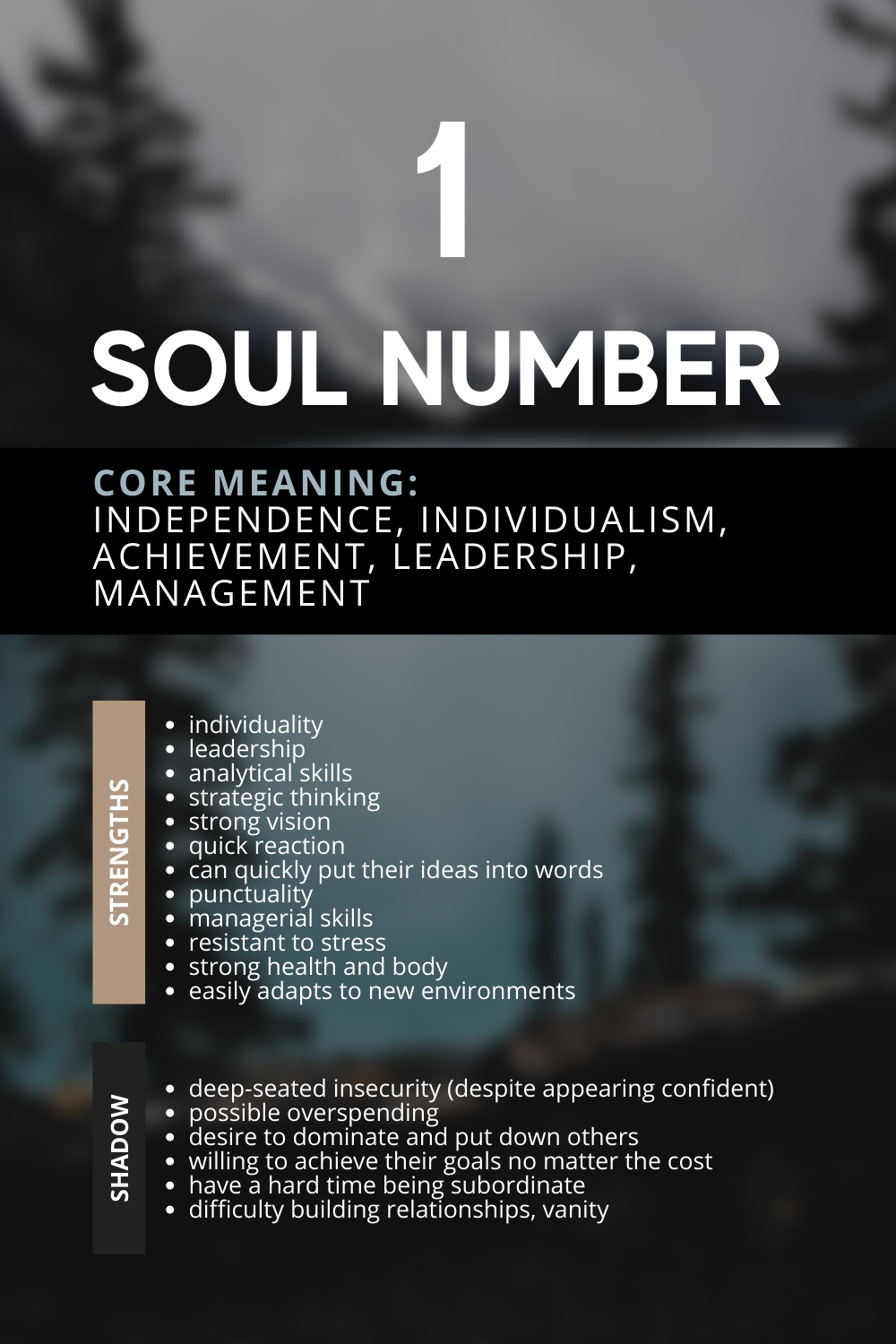 Vedic Numerology — Liz Foxter