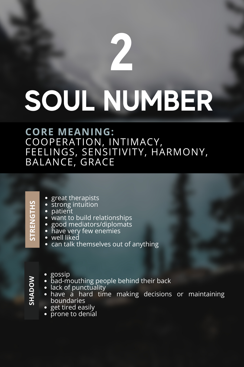 Vedic Numerology — Liz Foxter