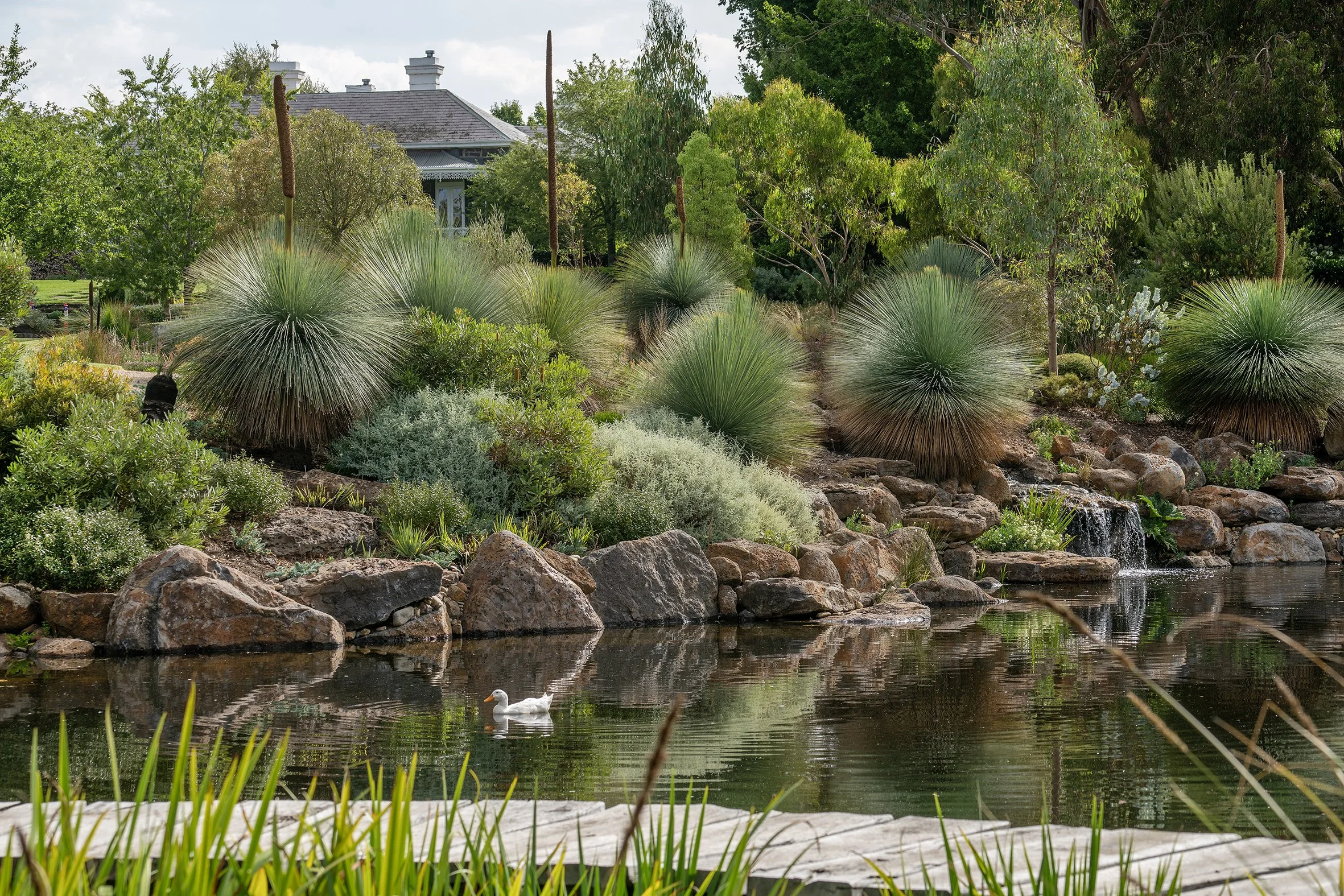 Aquatic plant nursery — Bells Water Gardens