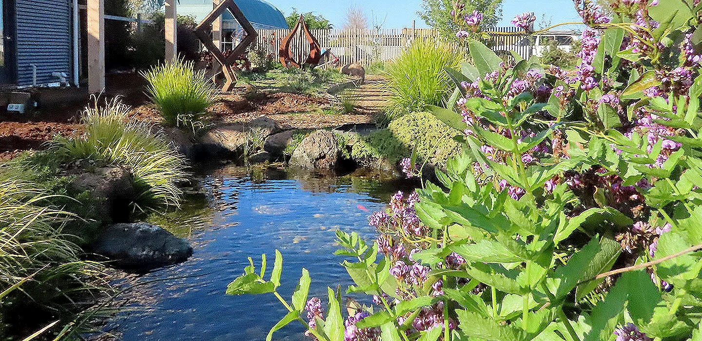 Ecosystem ponds — Bells Water Gardens