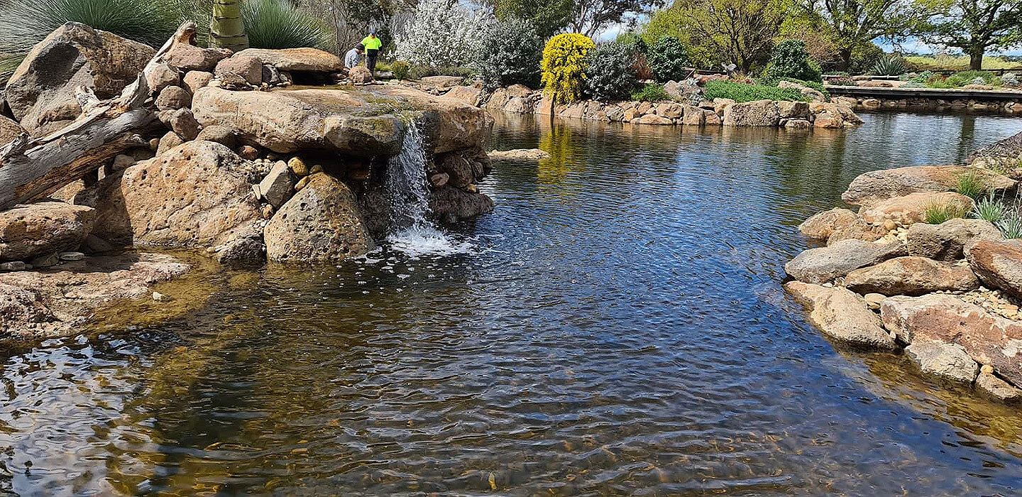 Ecosystem ponds — Bells Water Gardens