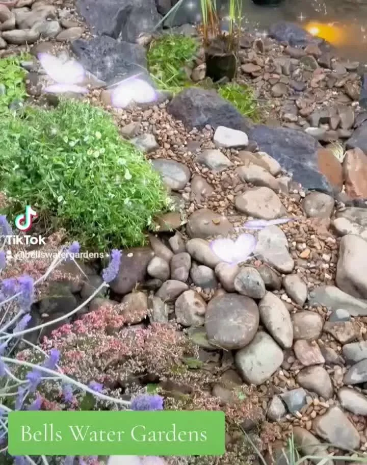 Aquatic plant nursery — Bells Water Gardens