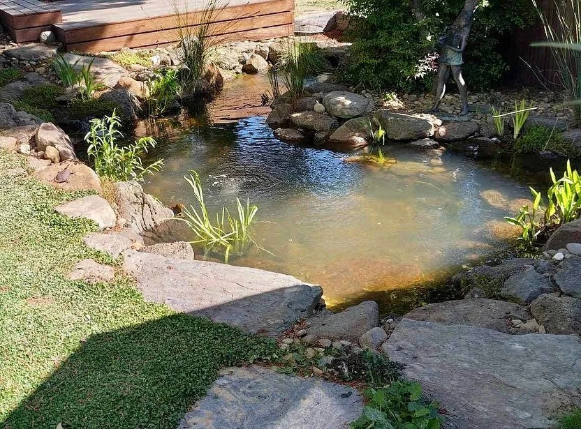 Aquatic plant nursery — Bells Water Gardens