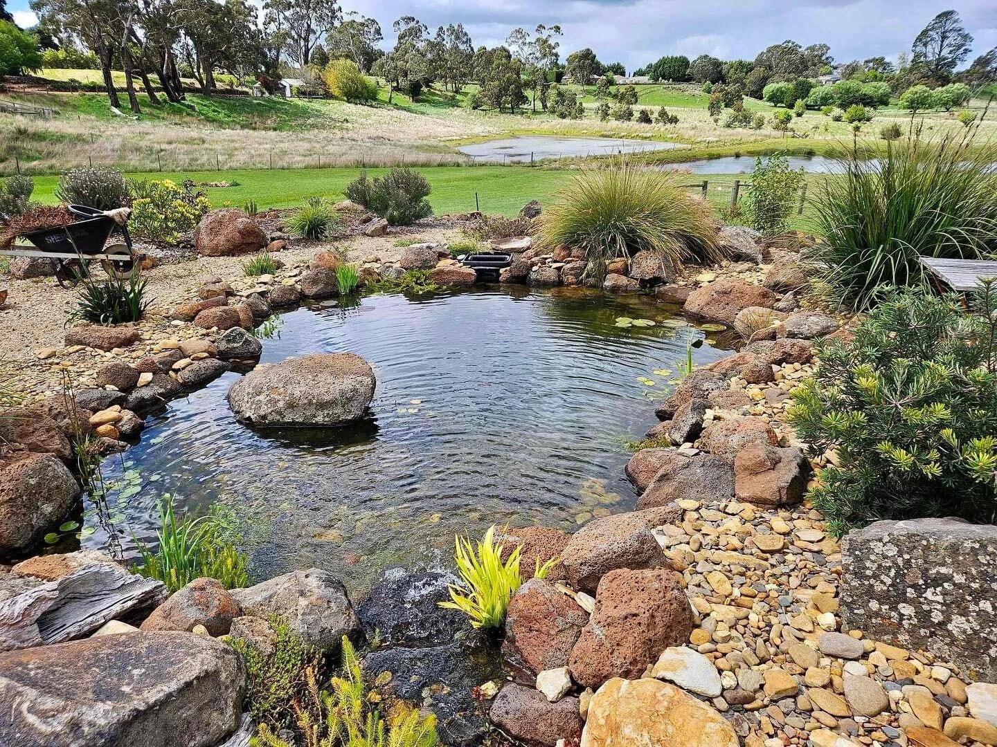 Aquatic plant nursery — Bells Water Gardens