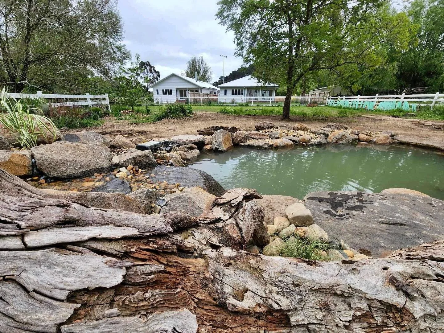 Aquatic plant nursery — Bells Water Gardens