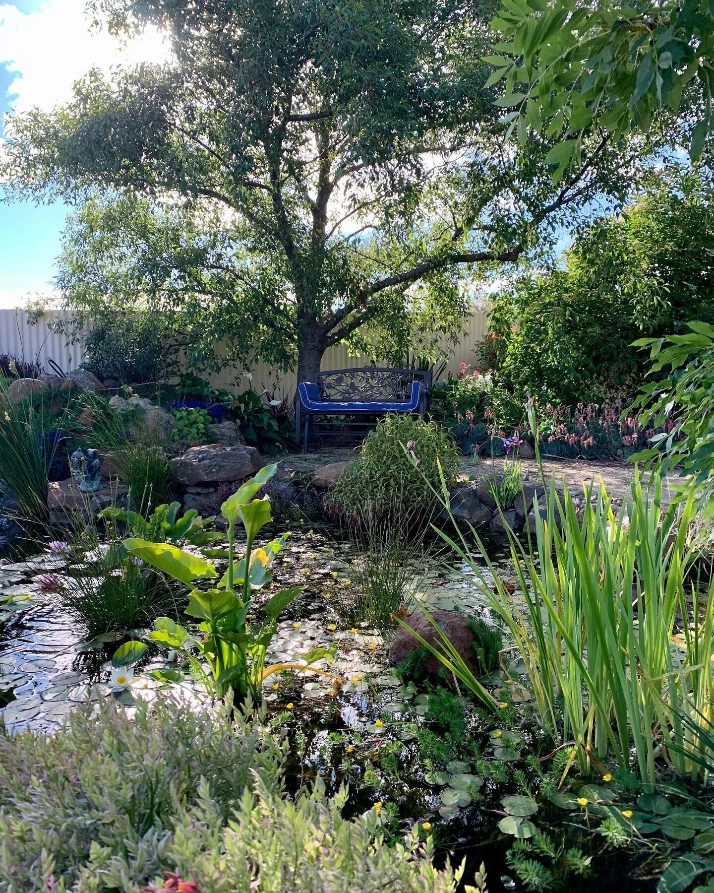 Aquatic plant nursery — Bells Water Gardens