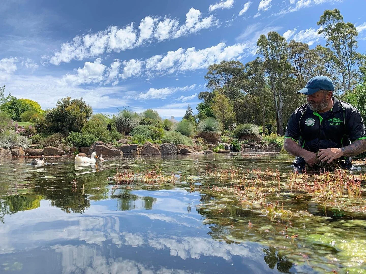Aquatic plant nursery — Bells Water Gardens