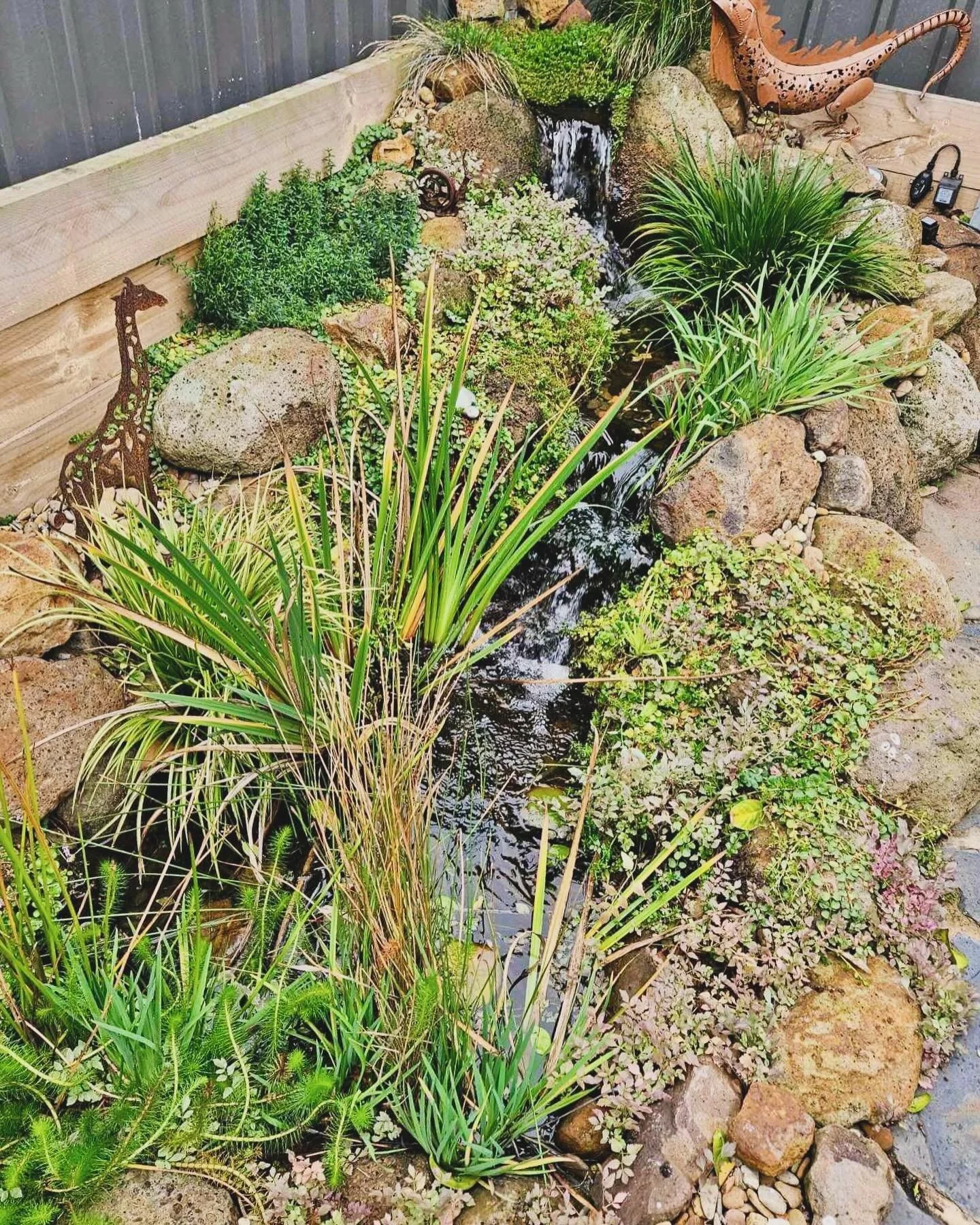 Aquatic plant nursery — Bells Water Gardens