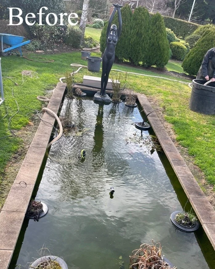 Aquatic plant nursery — Bells Water Gardens