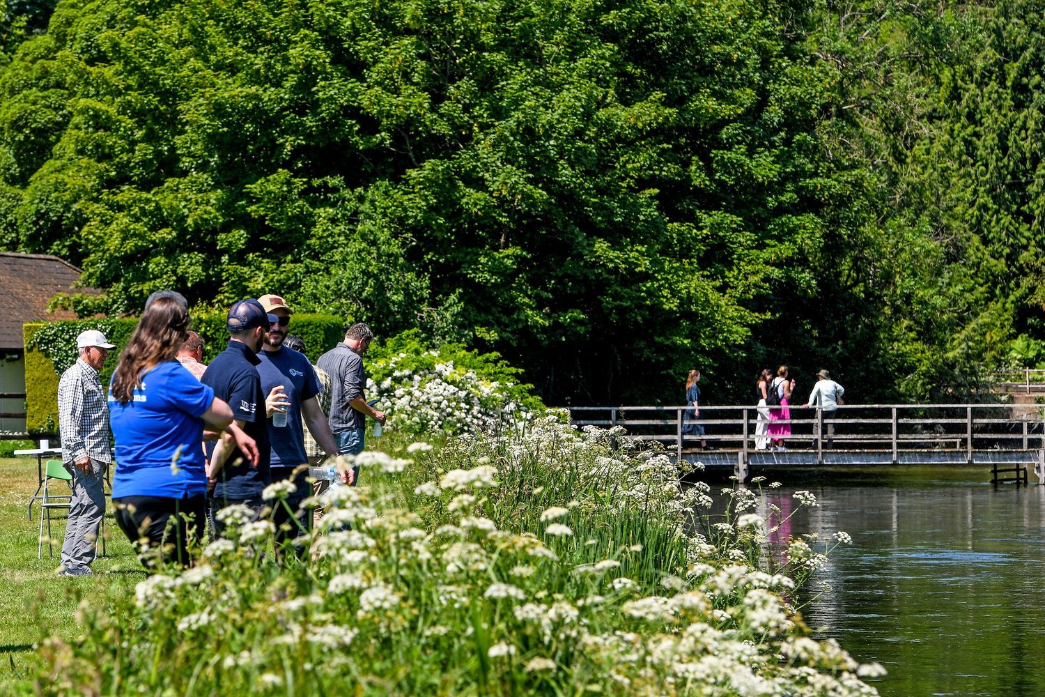 An Update on The UK River Summit — Celebrating Rivers