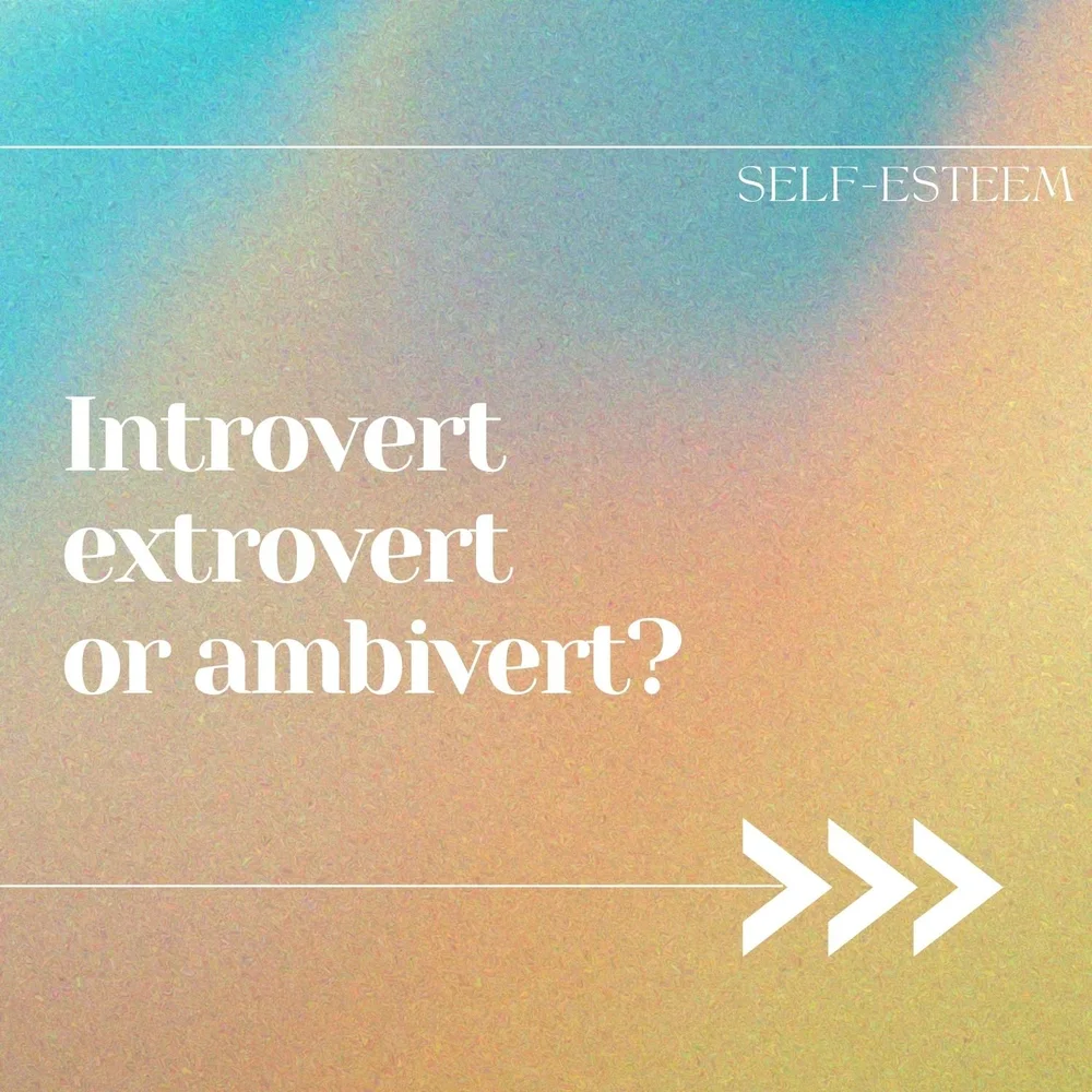 Introvert, Extrovert or Ambivert? - Antonya Beamish