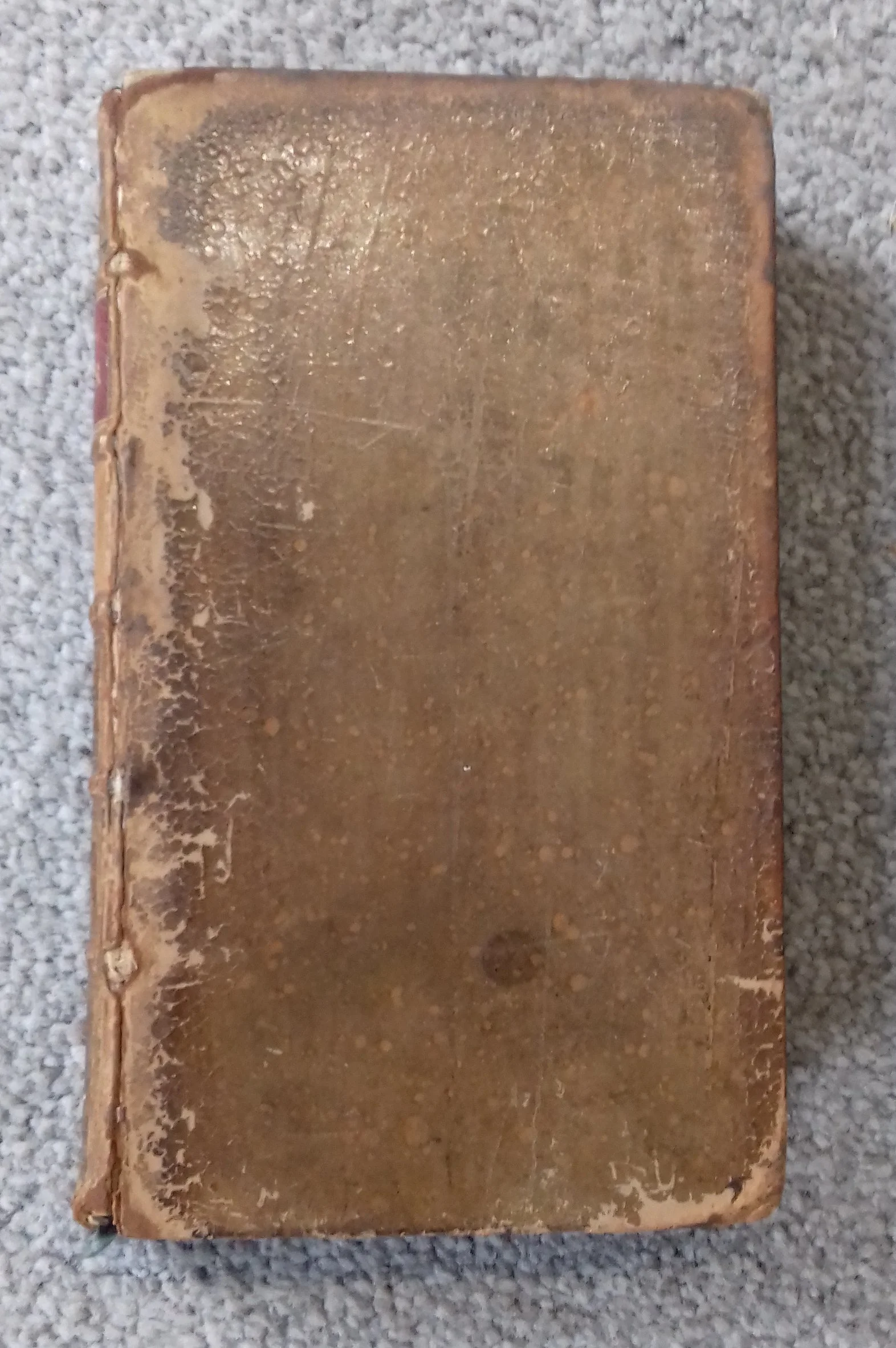 The Spectator — The Richard Roberts Archive