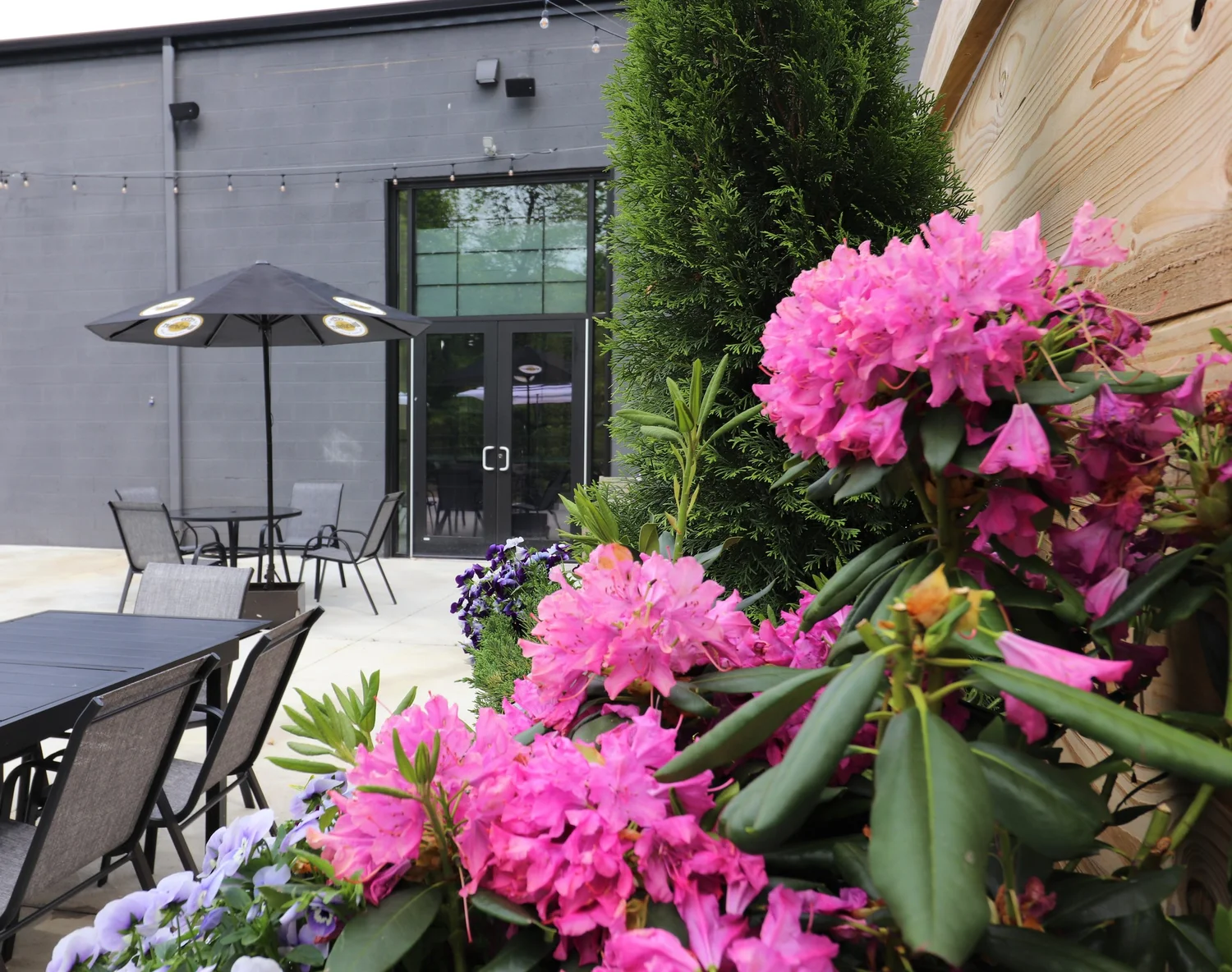 Team 1 — Rodi Italian