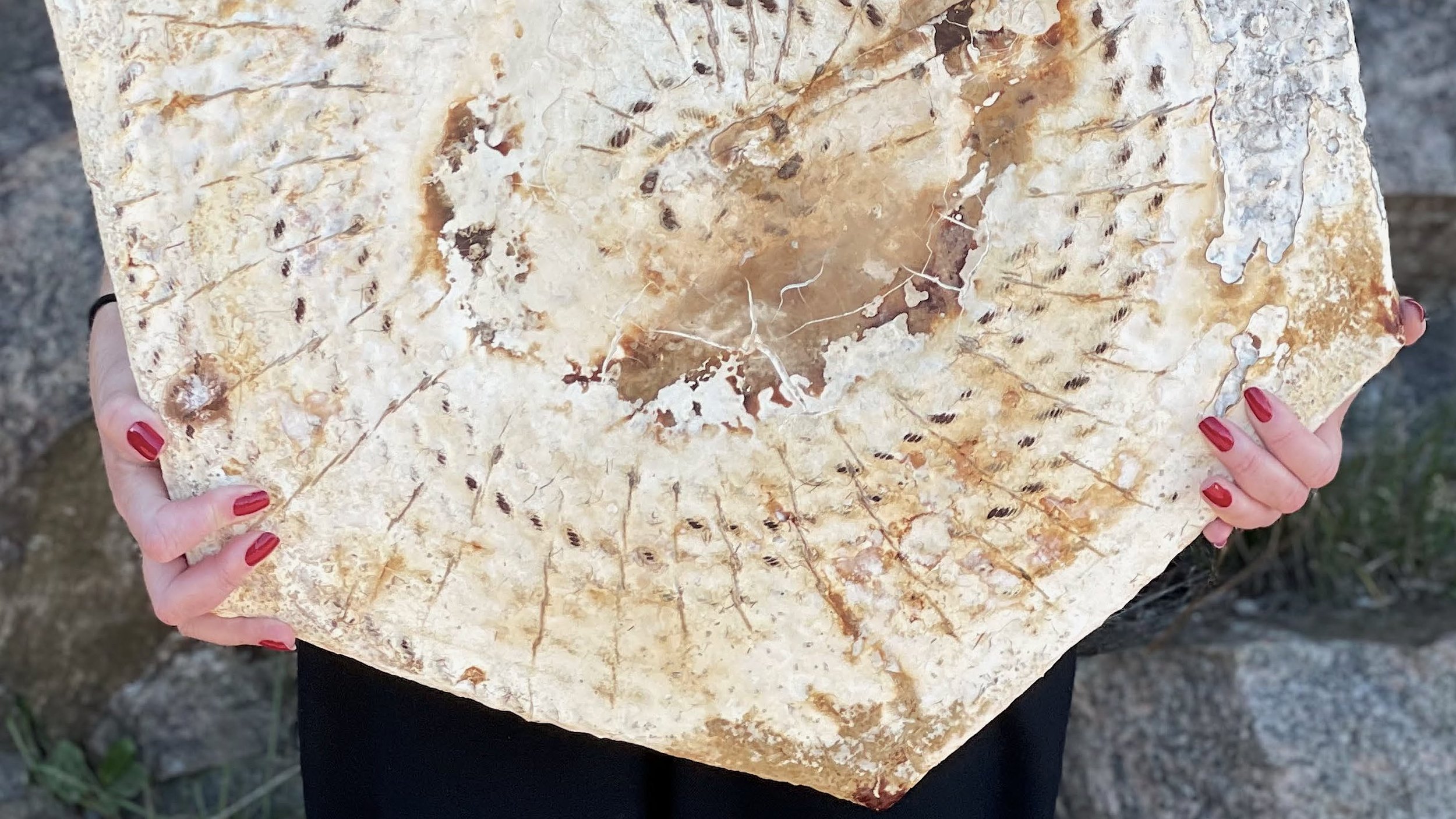 Biodegradable playground surface — BIOREGION INSTITUTE