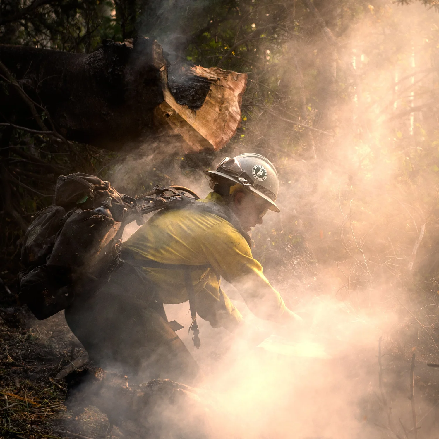 Grassroots Wildland Firefighters