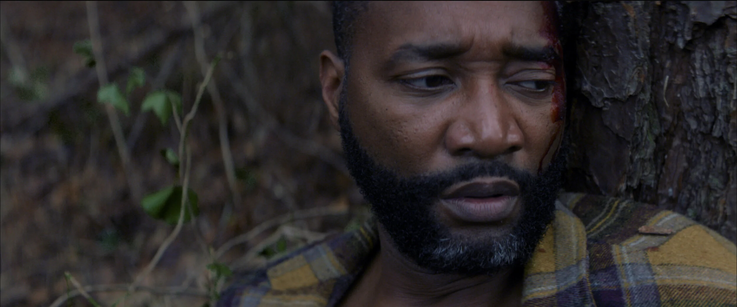“Demigod” (2021) Adds A New Reason To Be Afraid Of The Woods — Macabre ...