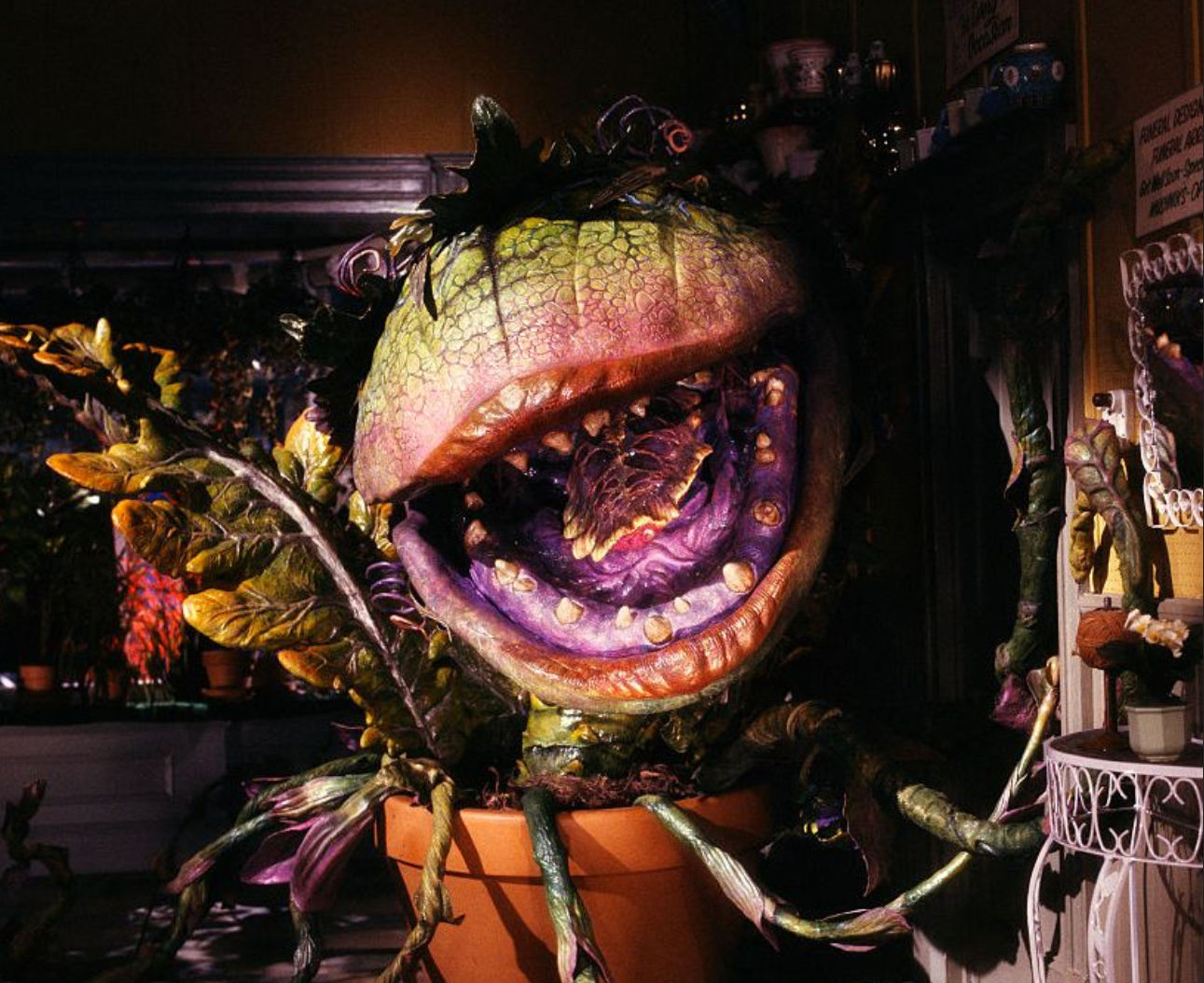 COLLECTOR'S CRYPT - THE LEECH (ARROW BLU RAY) — Macabre Daily