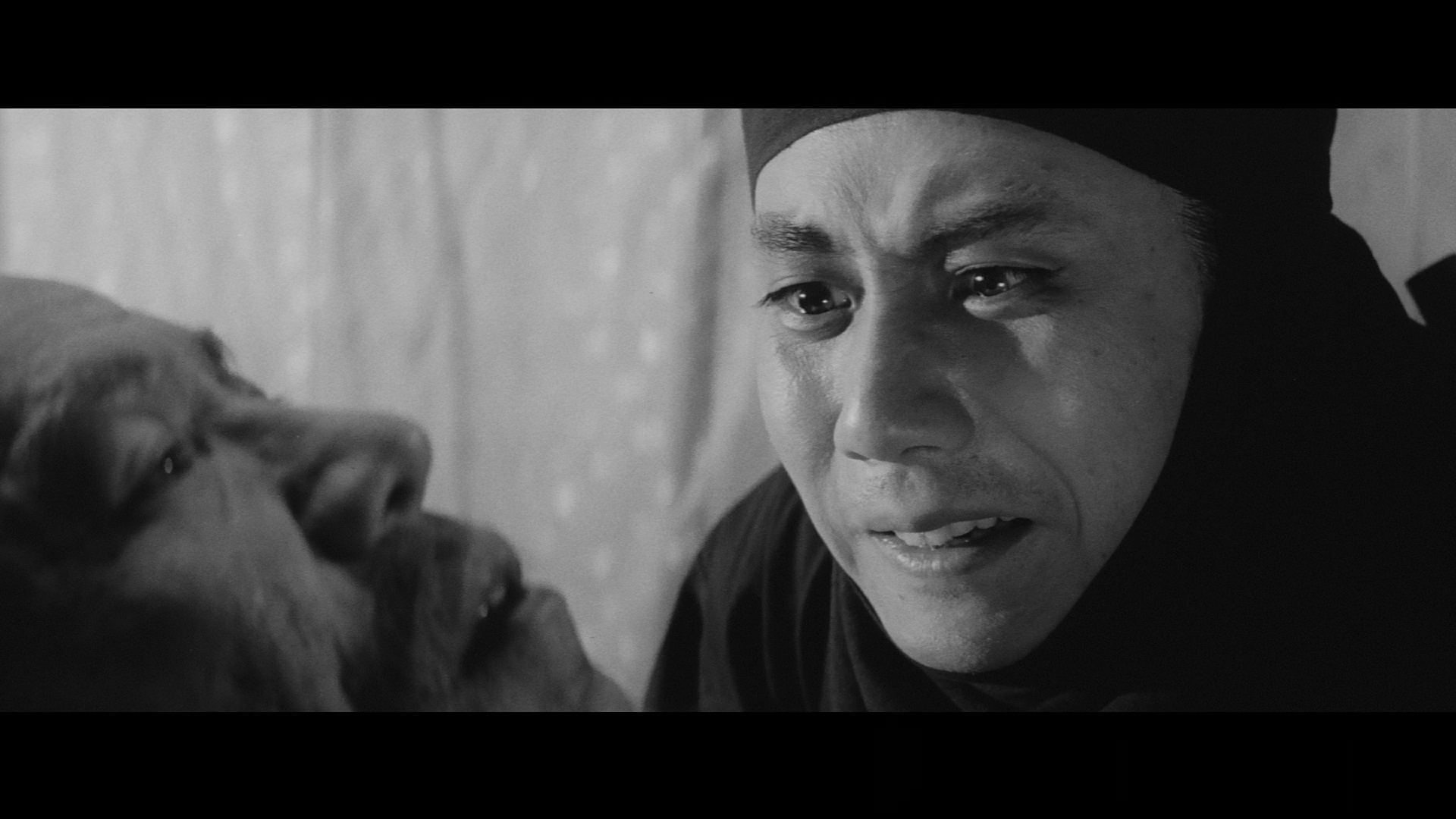 COLLECTOR'S CRYPT - SHINOBI TRILOGY (RADIANCE BLU-RAY) — Macabre Daily