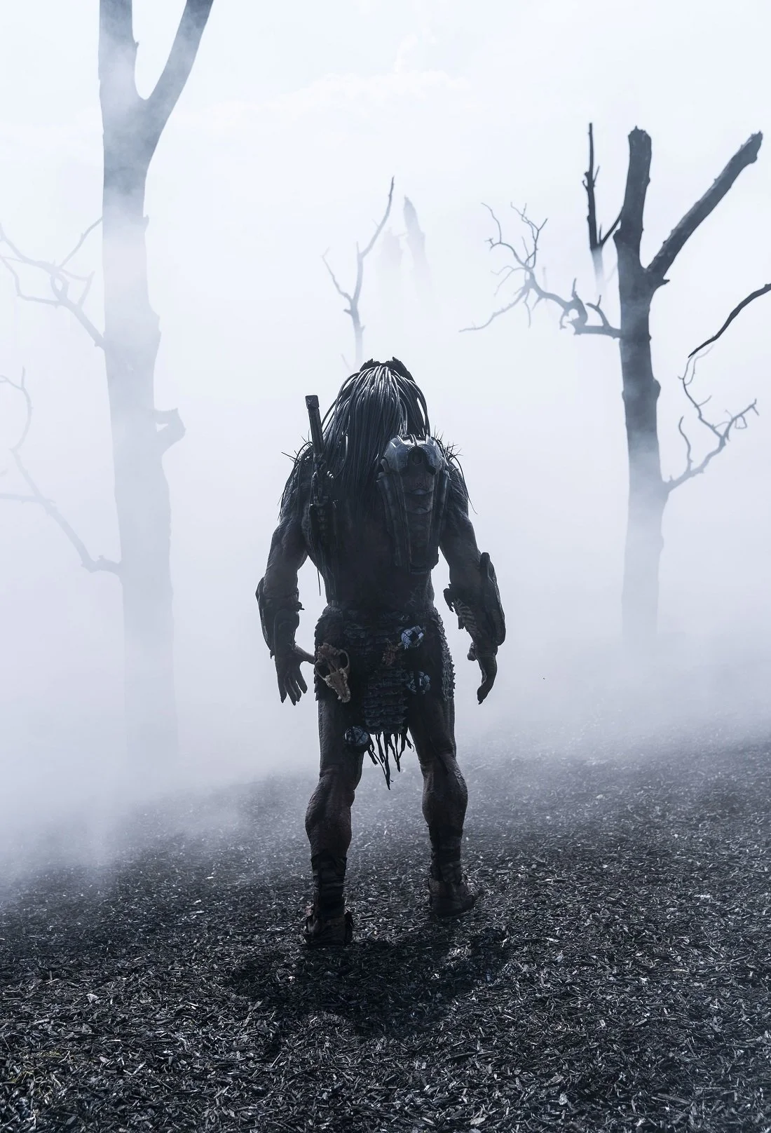Hulu's 'PREY' Releases New Movie Stills And Predator Legacy Featurette ...