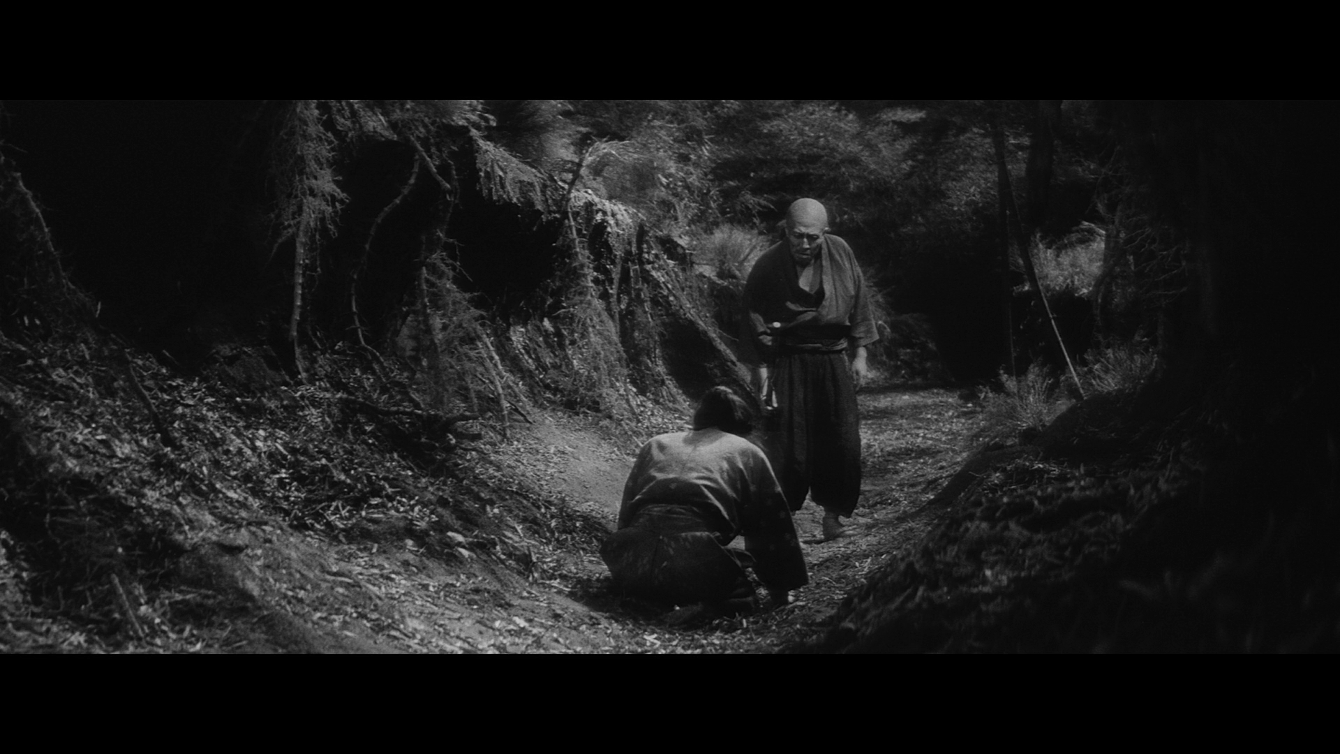 COLLECTOR'S CRYPT - SHINOBI TRILOGY (RADIANCE BLU-RAY) — Macabre Daily